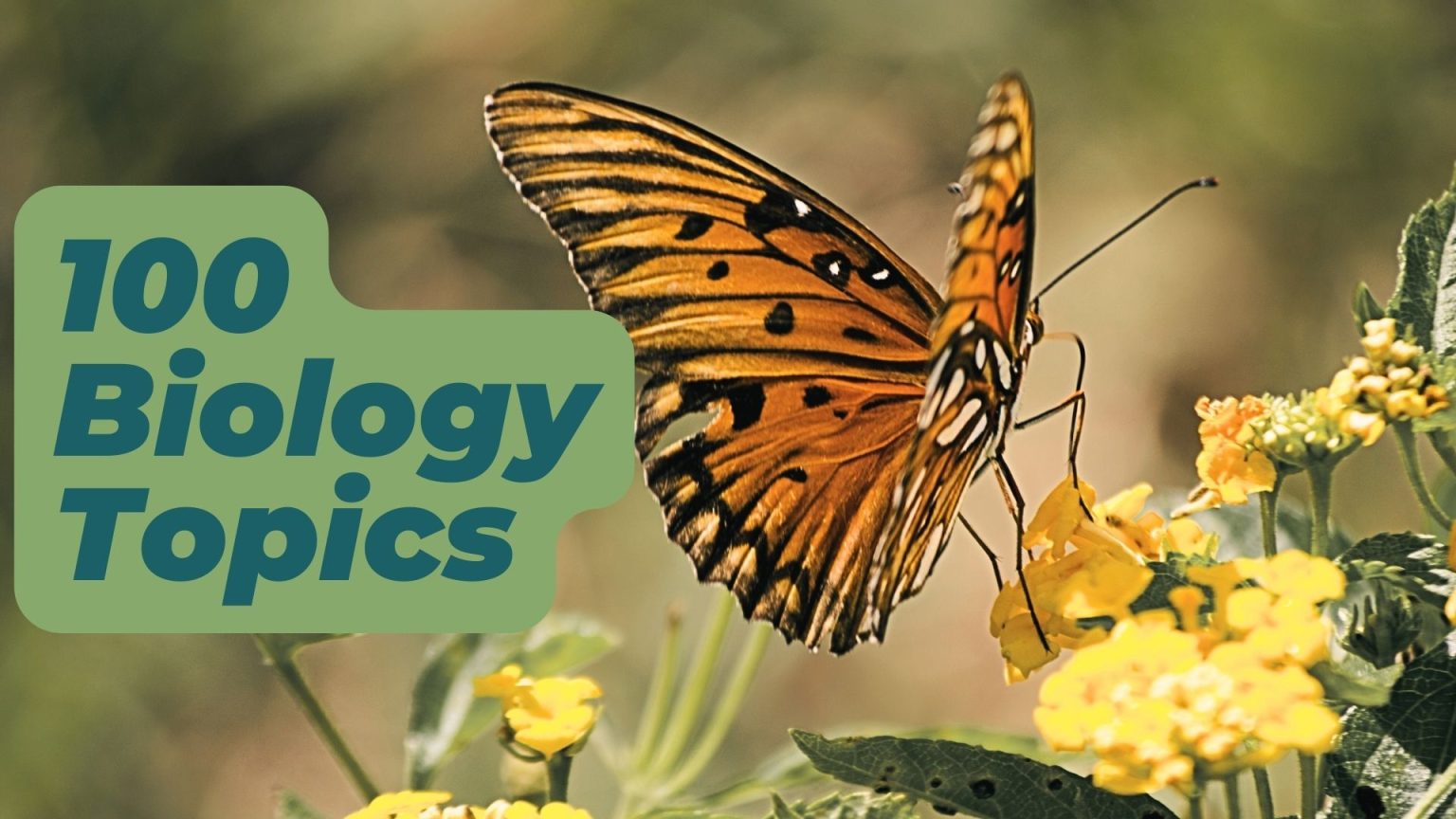Top 100 Biology Topics For Academic Paper Writing