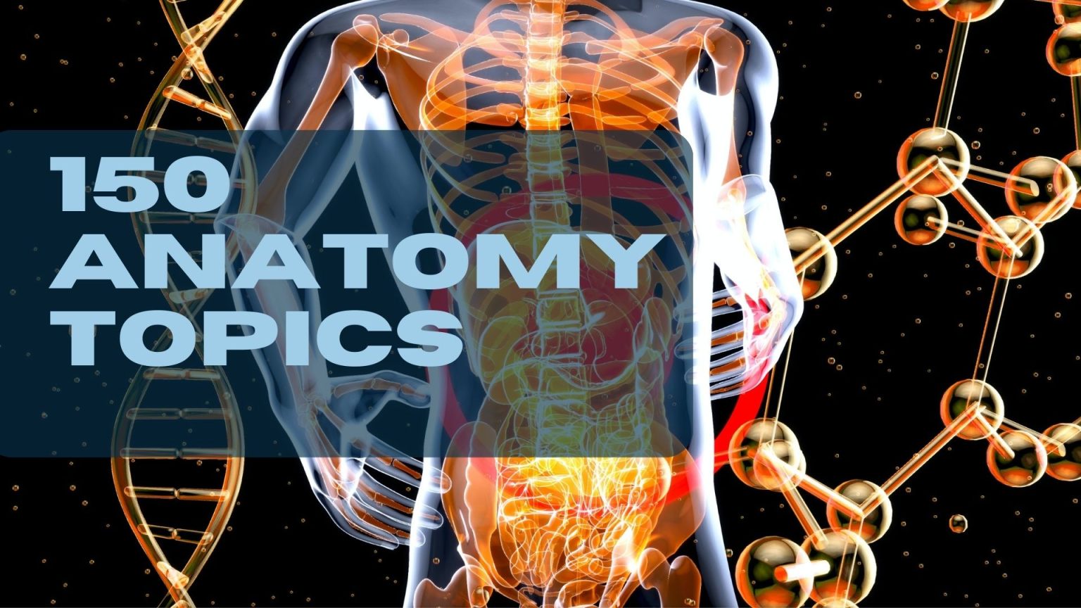 150 Best Anatomy Topics For Academic Research